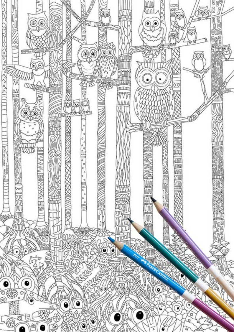 Coloring Pages INSTANT Download Printable Owls Forest - Etsy