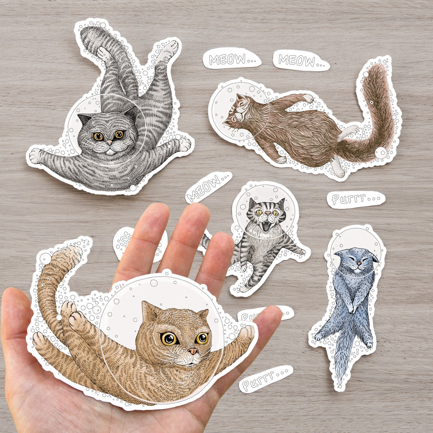 Vinyl 5 CATS sticker set cats laptop stickers Vinyl Decal | Etsy