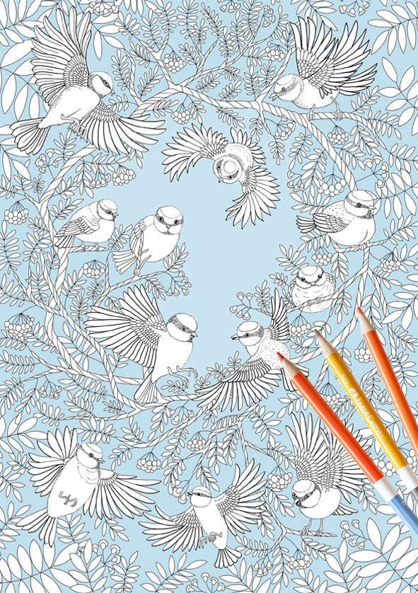 Coloring Page INSTANT DOWNLOAD Paradise Birds Adult Coloring - Etsy