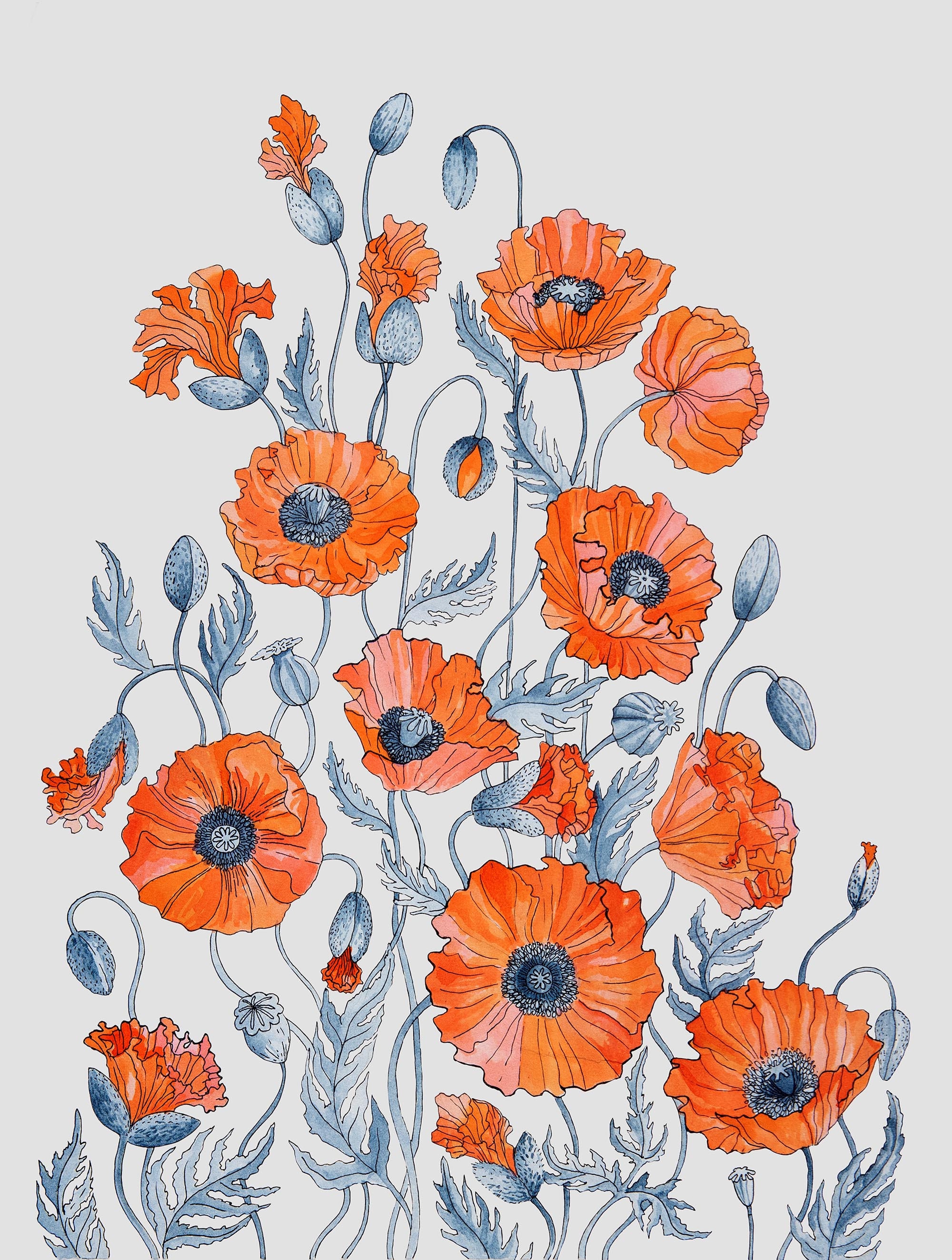 Coloring Pages, POPPY, Digital Download, Poppies, Coloring Book ...