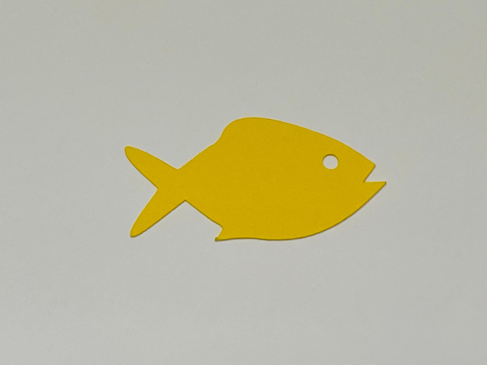 25 Fish Cutouts, Fish Die Cuts, Embellishments, Paper Cutouts, Teacher ...