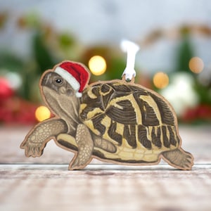 christmas tortoise