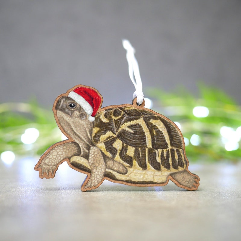 Tortoise Gifts - 60+ Gift Ideas for 2025