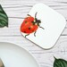 Illustrated Ladybird Coaster - Wildlife Inspired Homeware Gift With Eco ...