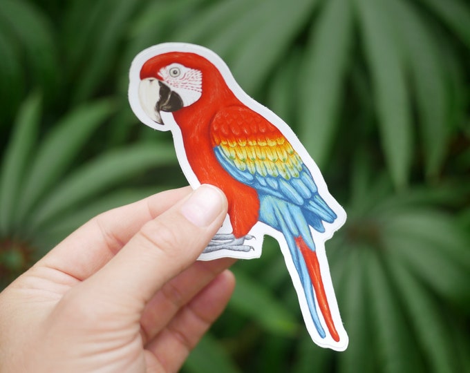 Scarlet Macaw Vinyl Sticker Waterproof Animal Wildlife Inspired Gift ...