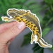 Great Crested Newt Vinyl Sticker - Waterproof Animal Wildlife Inspired ...