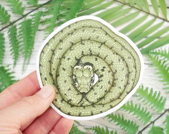 Snake Vinyl Decal Multiple Colors and Sizes Available Snake Sticker ...