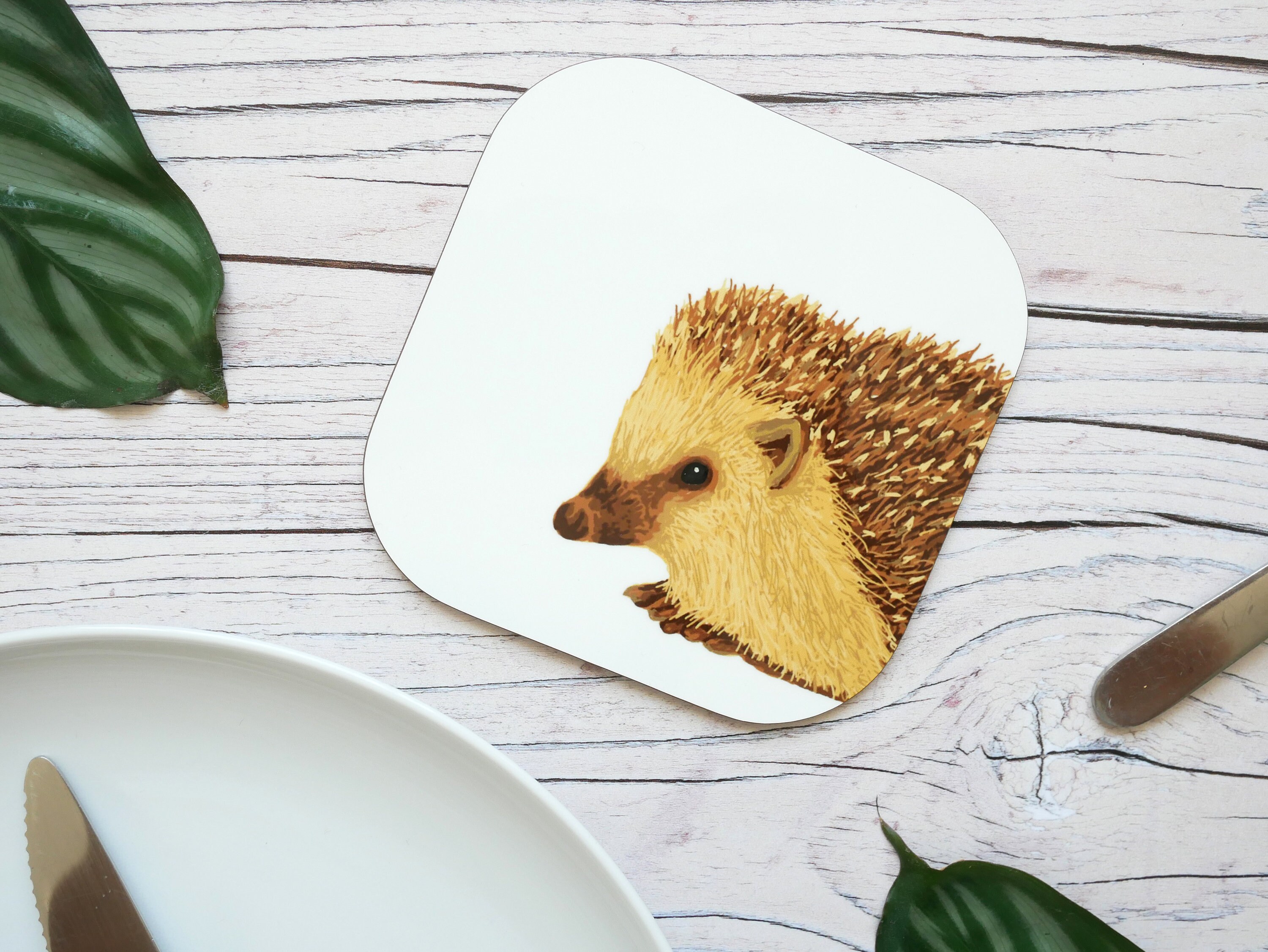 Illustrated Hedgehog Coaster Wildlife Inspired Homeware Gift - Etsy