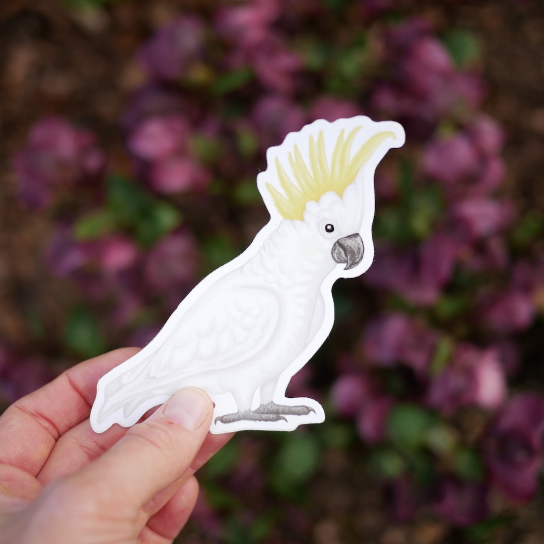 Sulphur Crested Cockatoo Sticker: Waterproof Vinyl Decal - Etsy