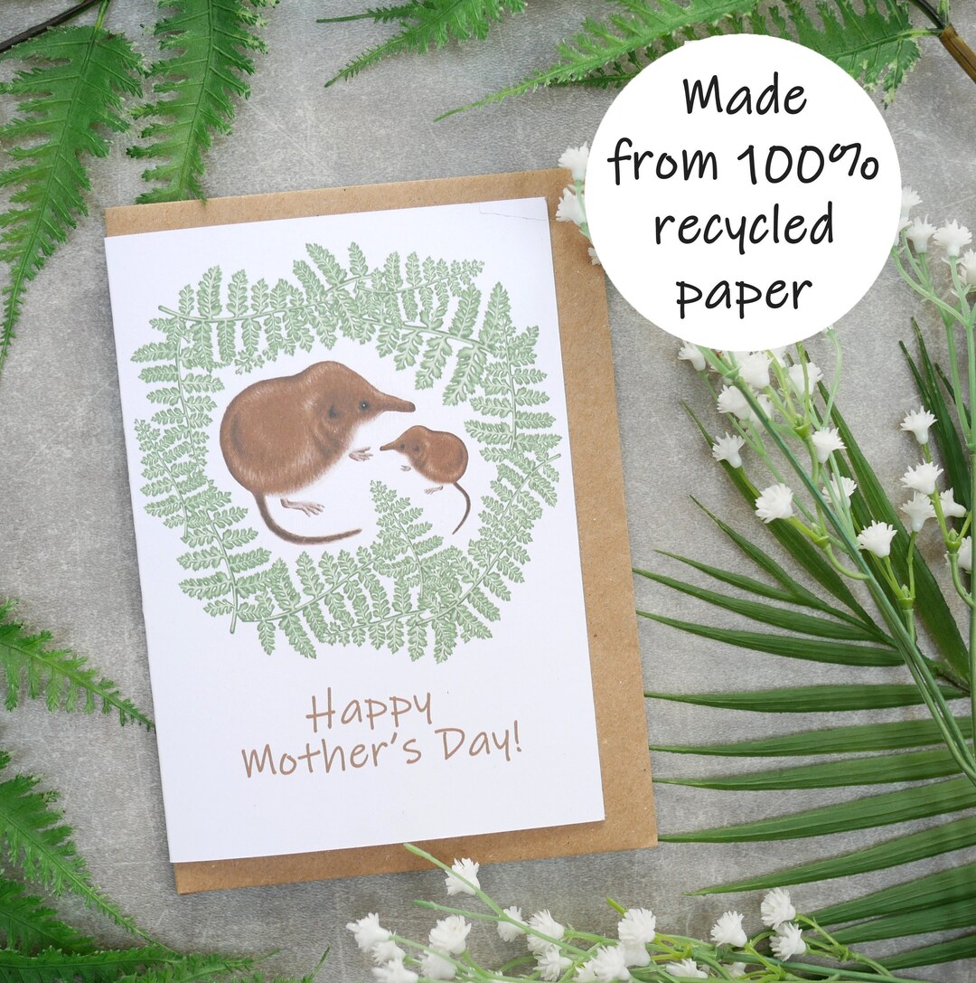 Pygmy Shrew Mother's Day Card: Wildlife Illustration, Recycled Card - Etsy