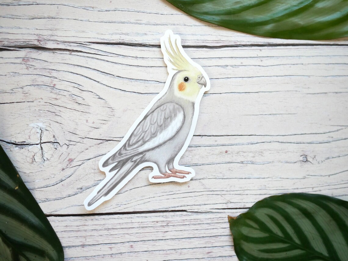 Cockatiel Vinyl Sticker Waterproof Animal Wildlife Inspired - Etsy