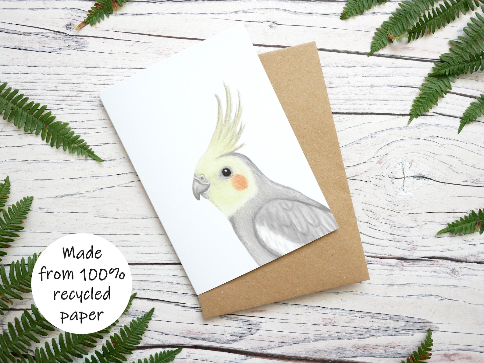 Illustrated Cockatiel Card 100% Recycled Wildlife Inspired - Etsy