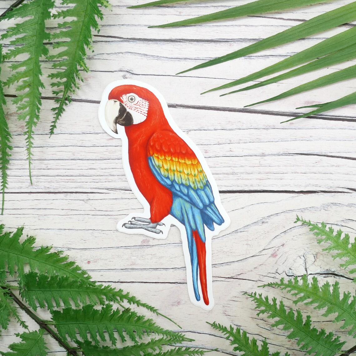 Scarlet Macaw Vinyl Sticker - Waterproof Animal Wildlife Inspired Gift ...