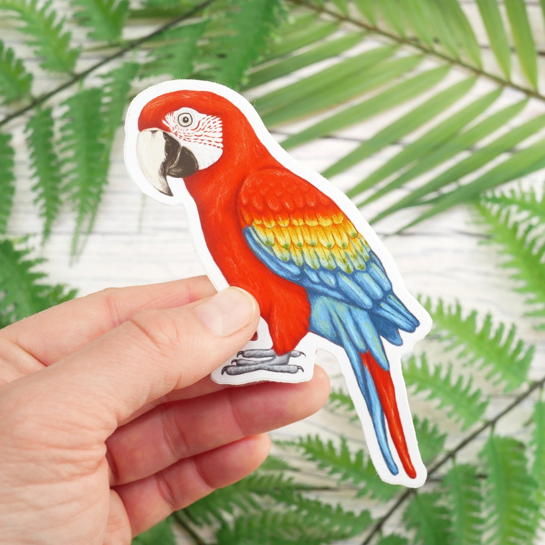Scarlet Macaw Vinyl Sticker Waterproof Animal Wildlife - Etsy