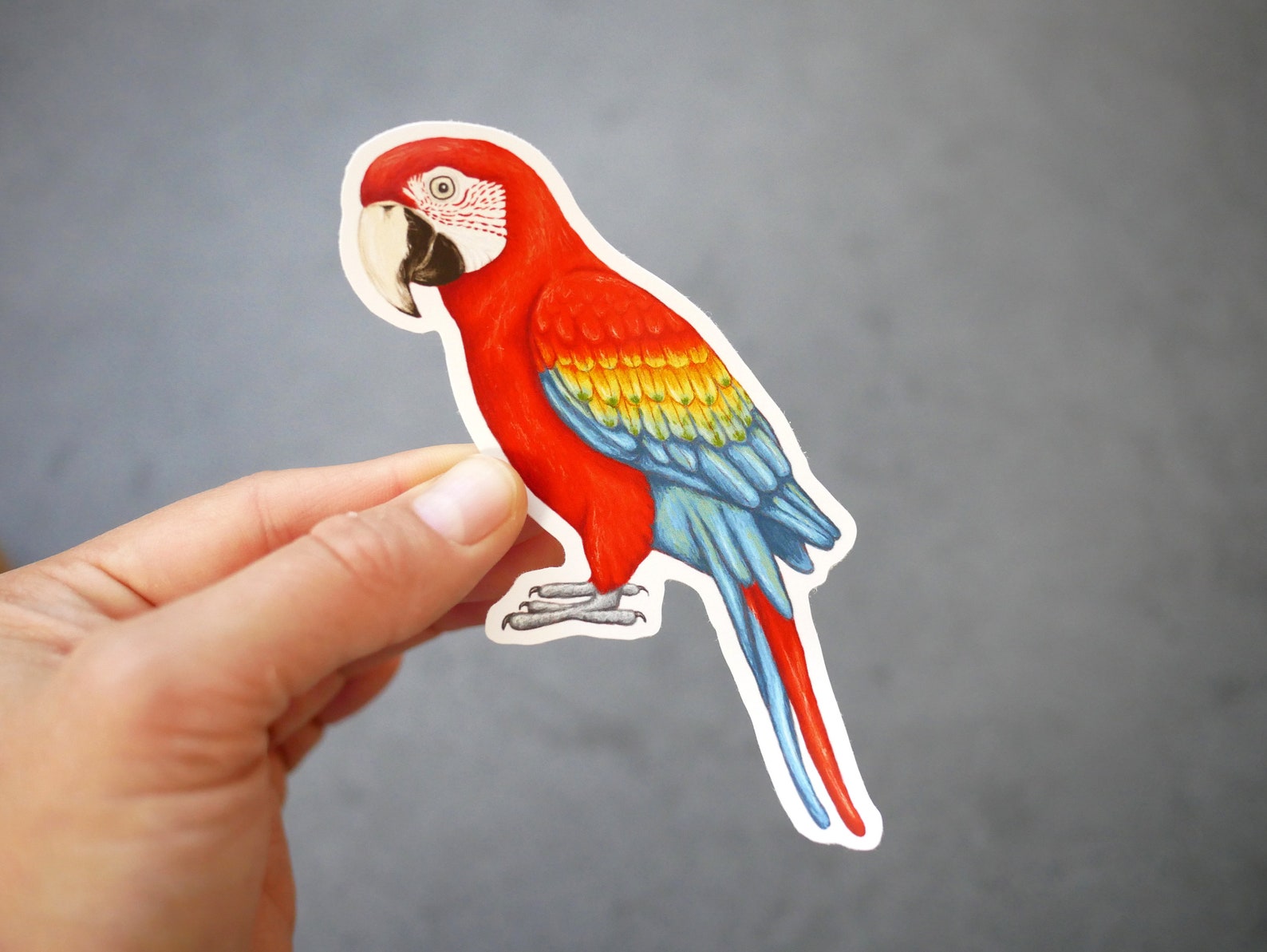 Scarlet Macaw Vinyl Sticker - Waterproof Animal Wildlife Inspired Gift ...