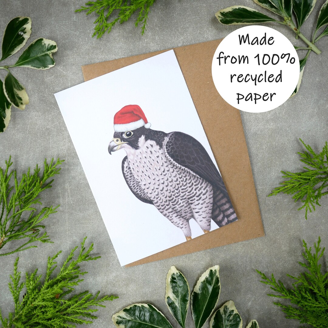 Illustrated Christmas Cockatiel Card 100% Recycled Wildlife Inspired ...