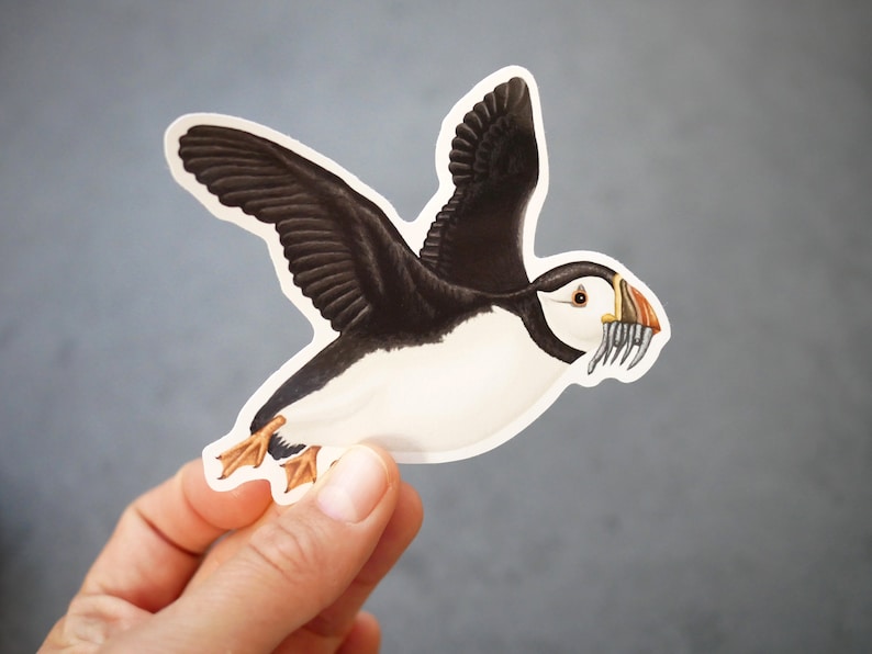 Flying Puffin Vinyl Sticker - Waterproof Animal Wildlife Inspired Gift ...