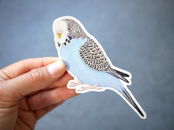 Blue Budgie Vinyl Sticker Waterproof Animal Wildlife | Etsy