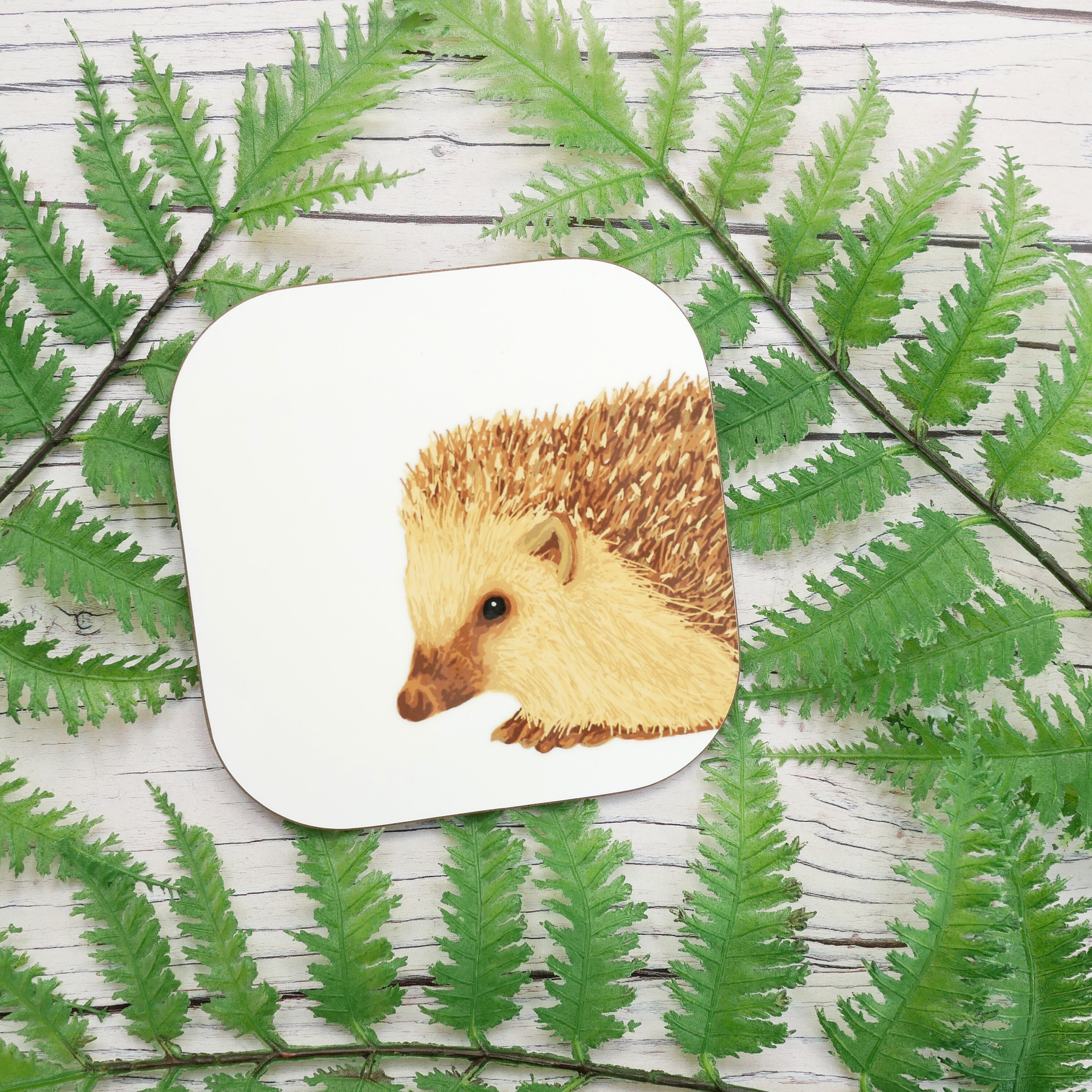Illustrated Hedgehog Coaster Wildlife Inspired Homeware Gift - Etsy