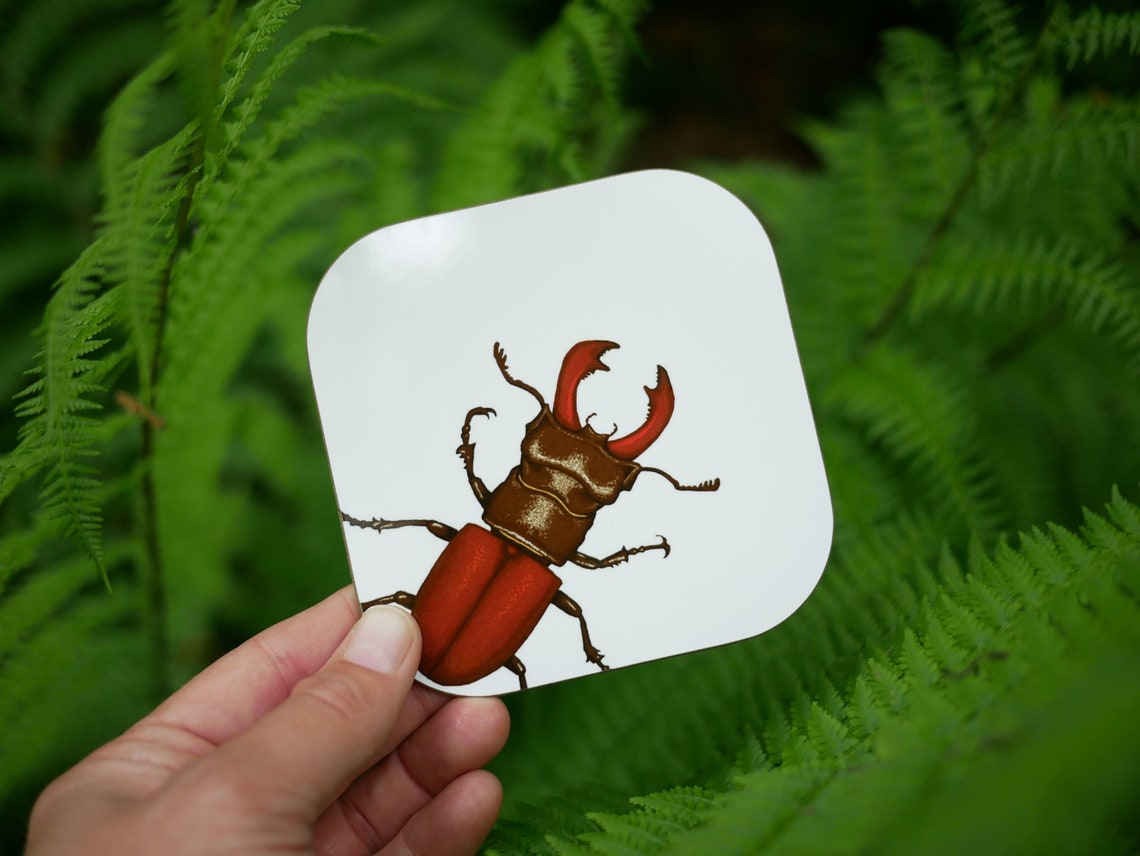 Illustrated Stag Beetle Coaster - Wildlife Inspired Homeware Gift With ...