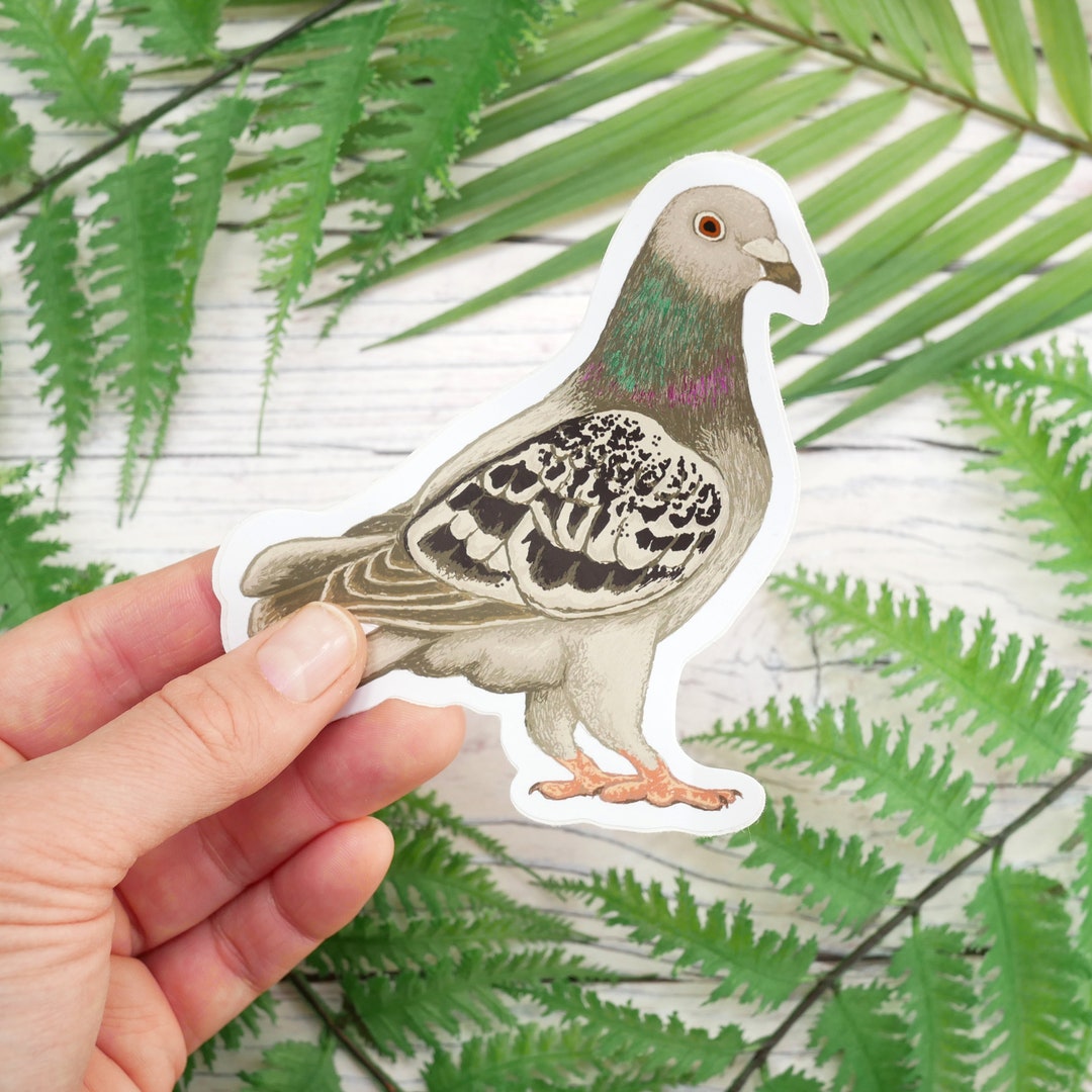 Pigeon Vinyl Sticker - Waterproof Animal Wildlife Inspired Gift With ...