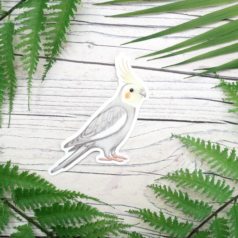 Cockatiel Vinyl Sticker Waterproof Animal Wildlife Inspired - Etsy