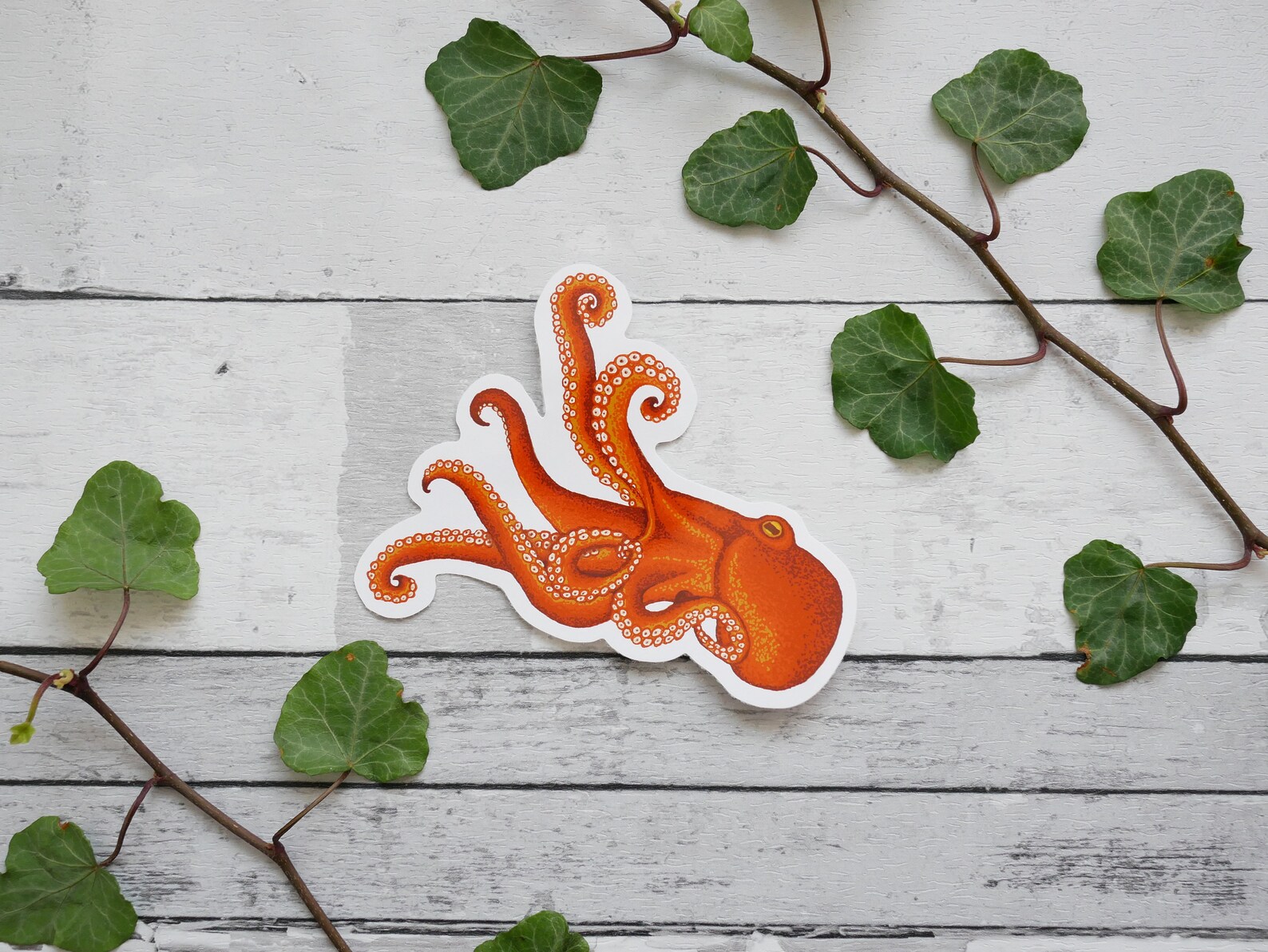 Octopus Vinyl Sticker - Waterproof Animal Wildlife Inspired Gift With ...
