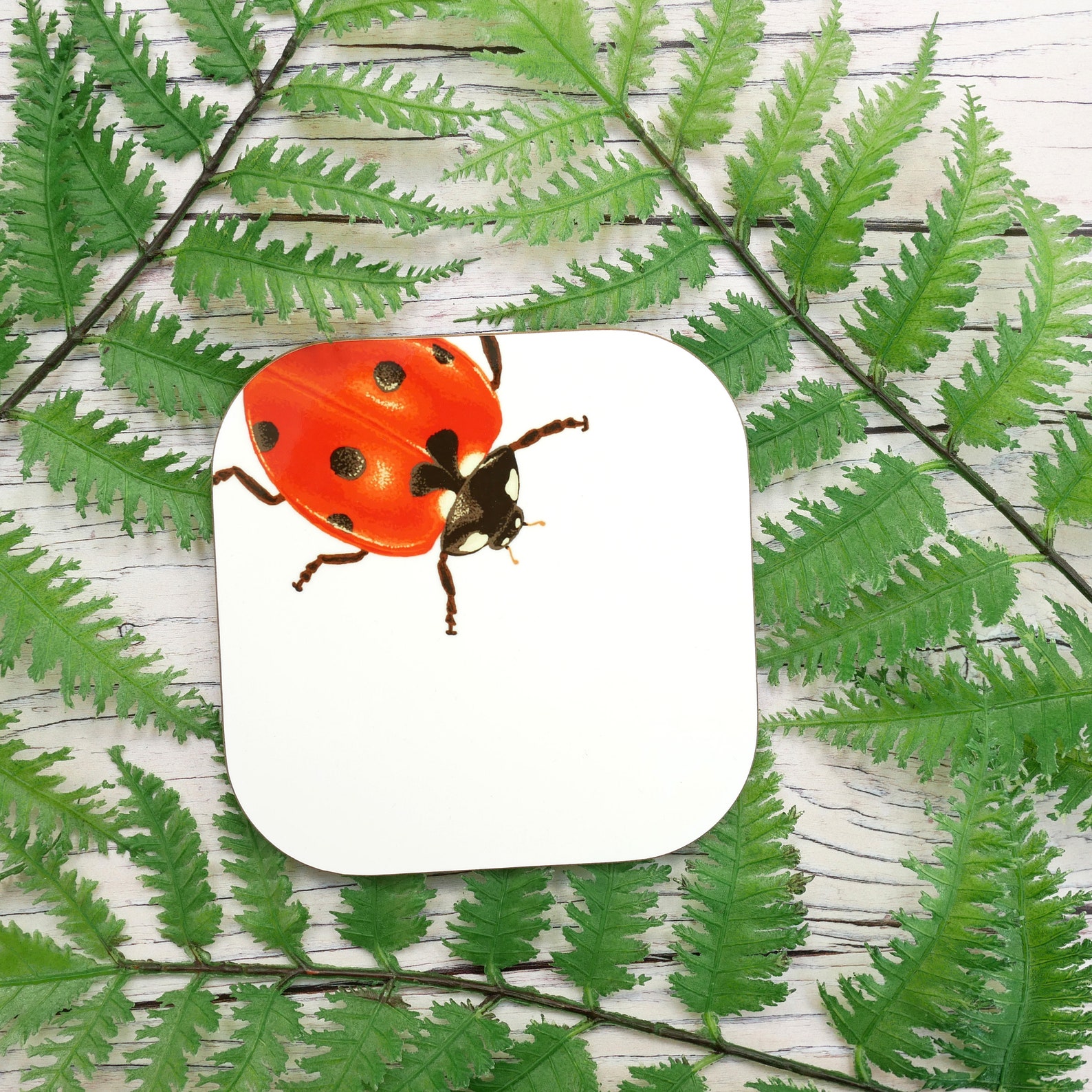 Illustrated Ladybird Coaster - Wildlife Inspired Homeware Gift With Eco ...