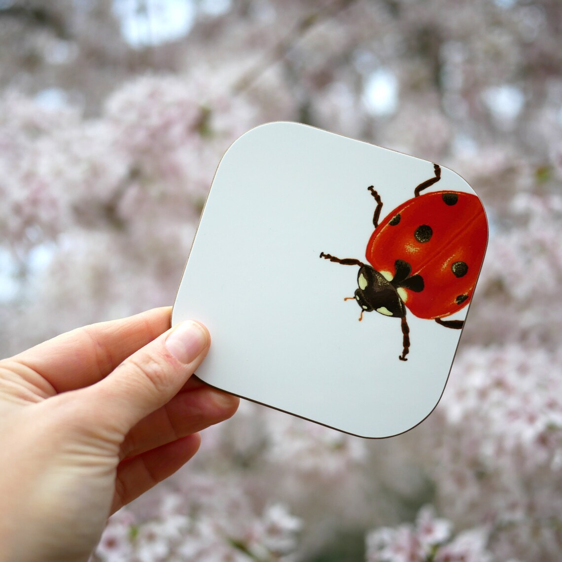 Illustrated Ladybird Coaster - Wildlife Inspired Homeware Gift With Eco ...
