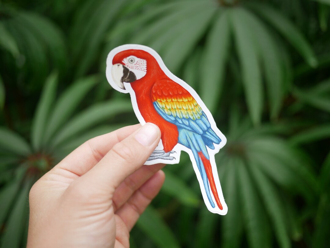 Scarlet Macaw Vinyl Sticker - Waterproof Animal Wildlife Inspired Gift ...