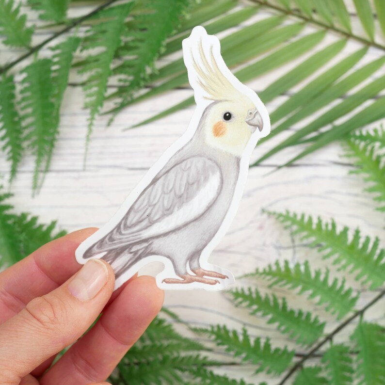 Cockatiel Vinyl Sticker Waterproof Animal Wildlife Inspired - Etsy