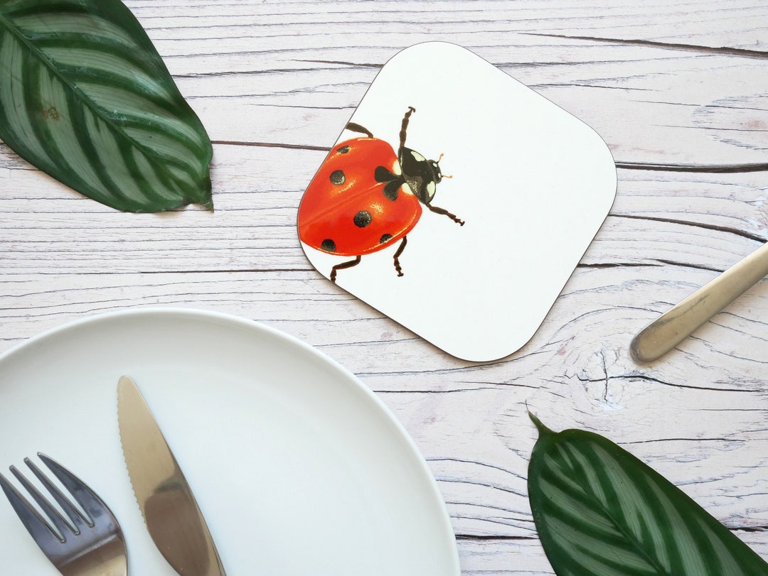 Illustrated Ladybird Coaster Wildlife Inspired Homeware Gift With Eco ...