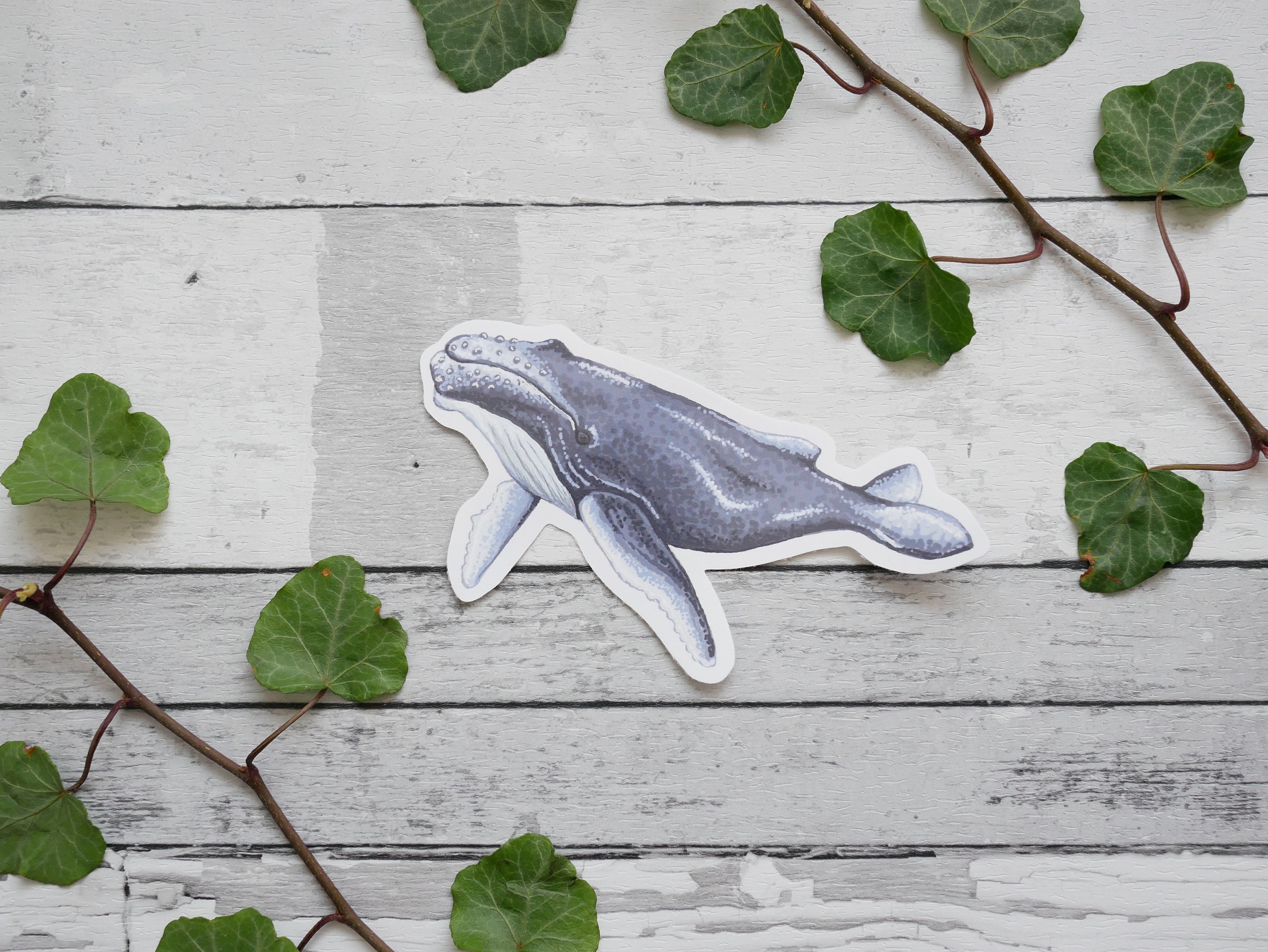 Humpback Whale Vinyl Sticker - Waterproof Animal Wildlife Inspired Gift ...