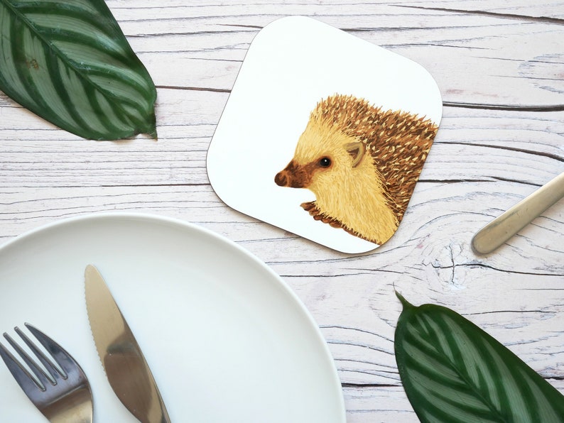Illustrated Hedgehog Coaster Wildlife Inspired Homeware Gift - Etsy