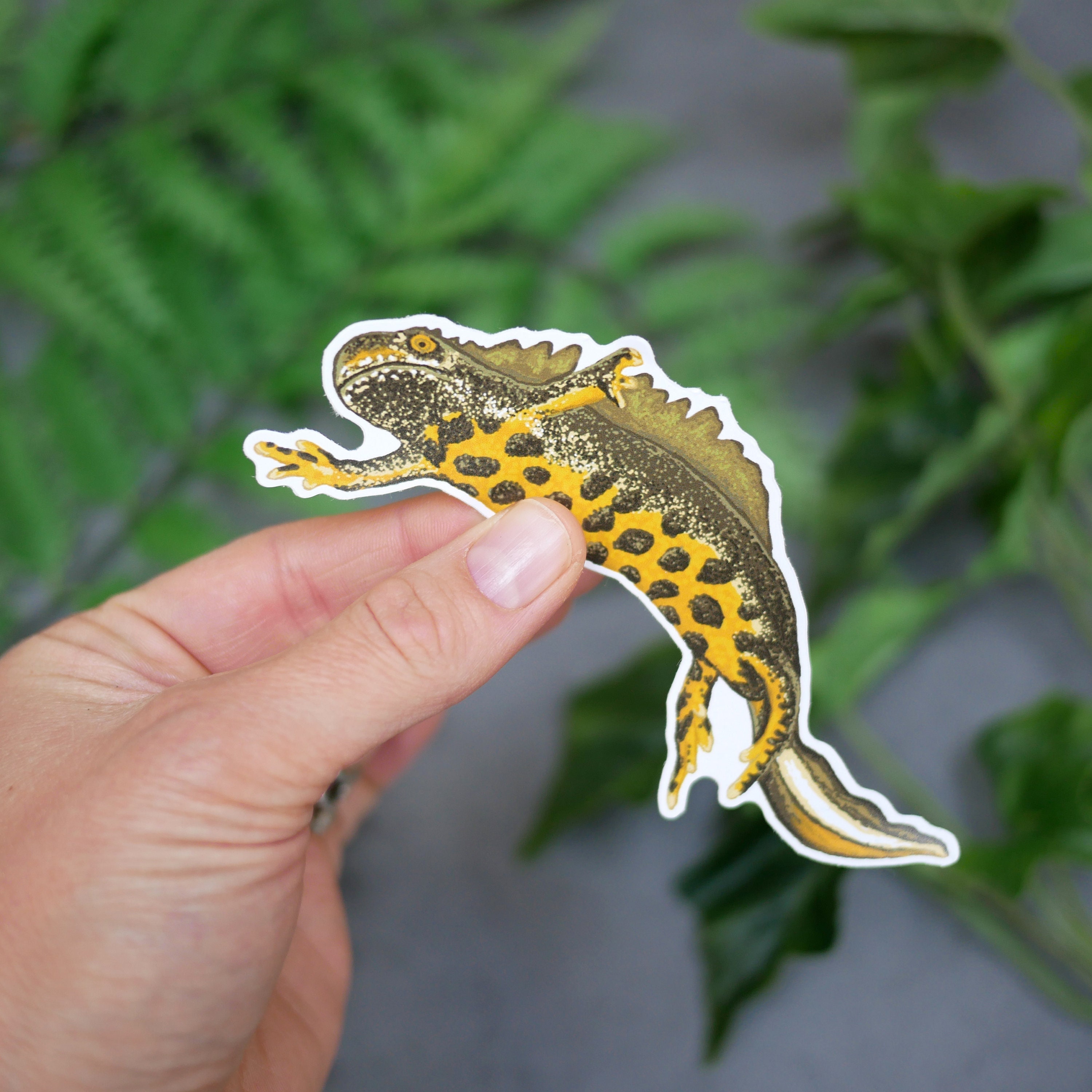Great Crested Newt Vinyl Sticker - Waterproof Animal Wildlife Inspired ...