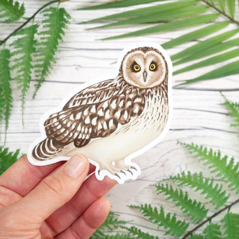 Short-eared Owl Vinyl Sticker - Waterproof Animal Wildlife Inspired ...