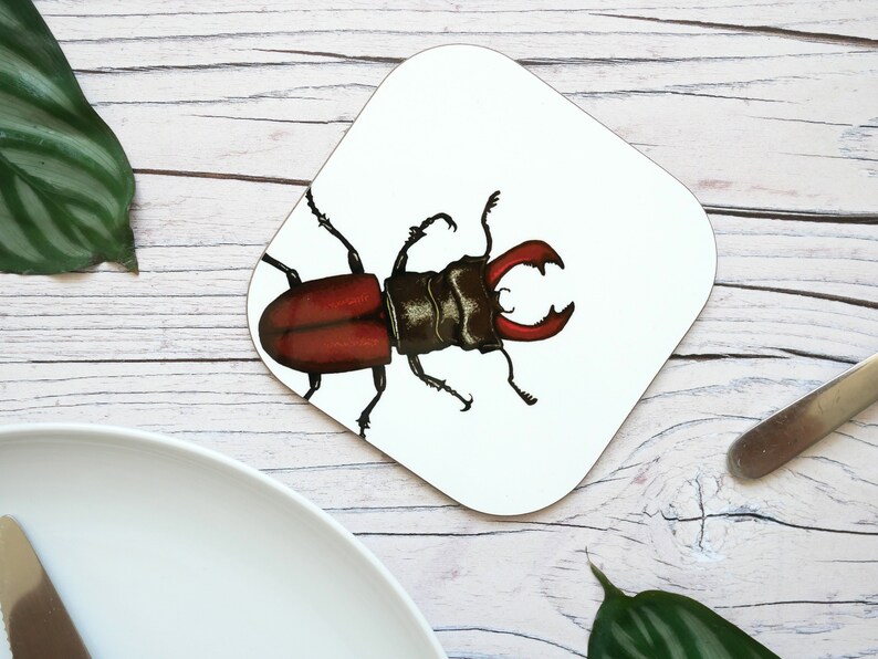 Illustrated Stag Beetle Coaster - Wildlife Inspired Homeware Gift With ...