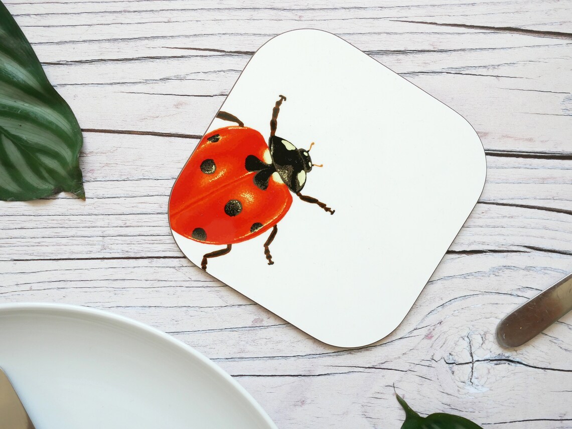 Illustrated Ladybird Coaster - Wildlife Inspired Homeware Gift With Eco ...