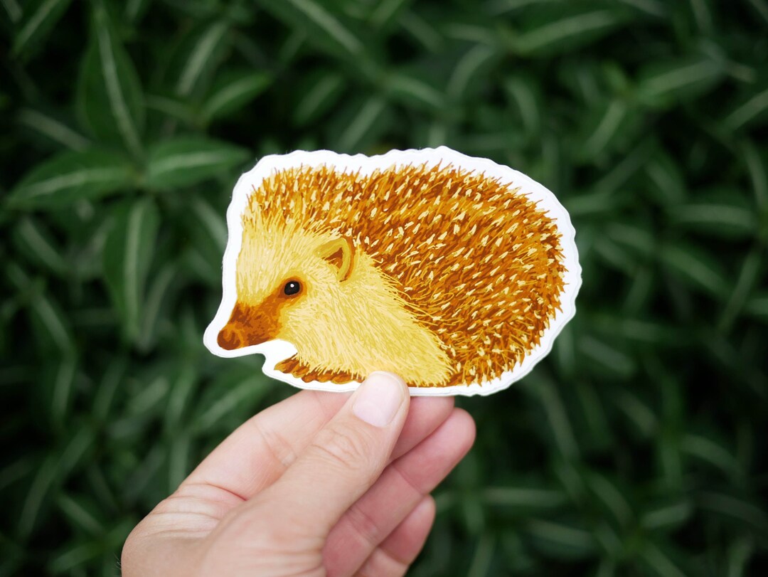 Hedgehog Vinyl Sticker - Waterproof Animal Wildlife Inspired Gift With ...