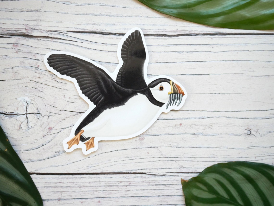Flying Puffin Vinyl Sticker Waterproof Animal Wildlife | Etsy