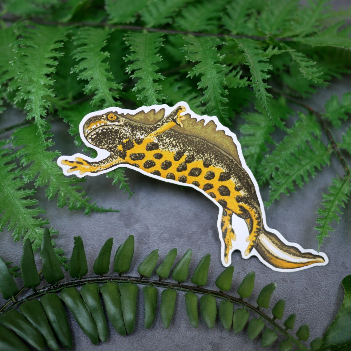 Great Crested Newt Vinyl Sticker - Waterproof Animal Wildlife Inspired ...