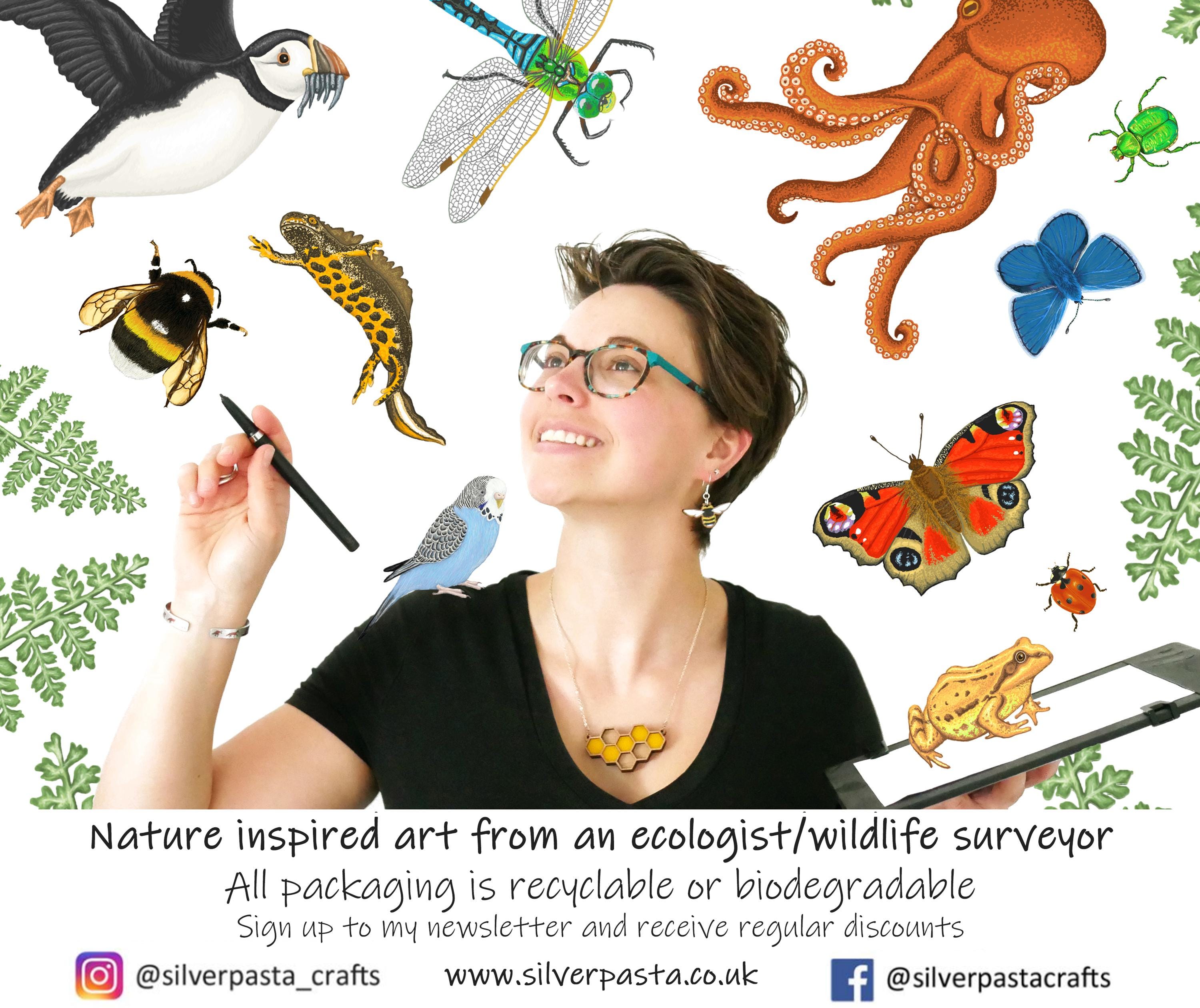 Great Crested Newt Vinyl Sticker - Waterproof Animal Wildlife Inspired ...