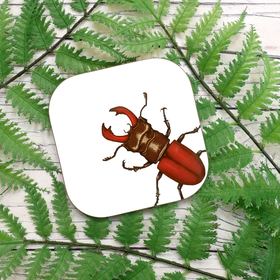Illustrated Stag Beetle Coaster - Wildlife Inspired Homeware Gift With ...