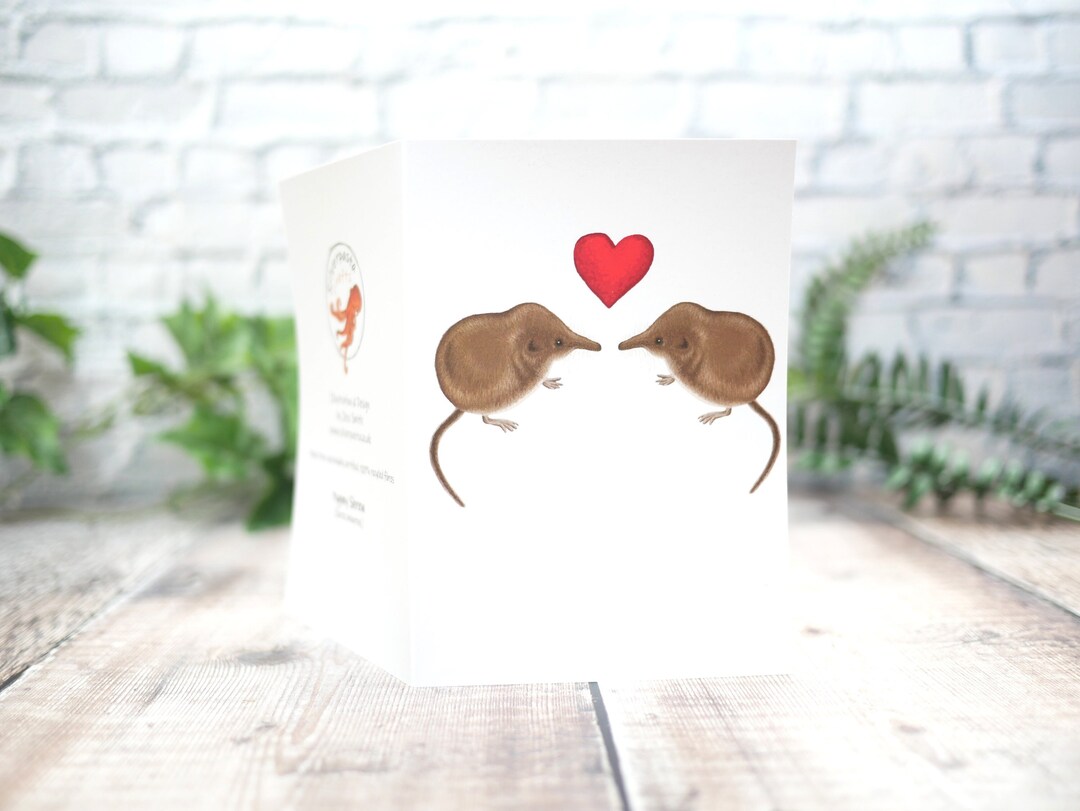 Illustrated Valentine's Day Pygmy Shrew Card - 100% Recycled Wildlife ...