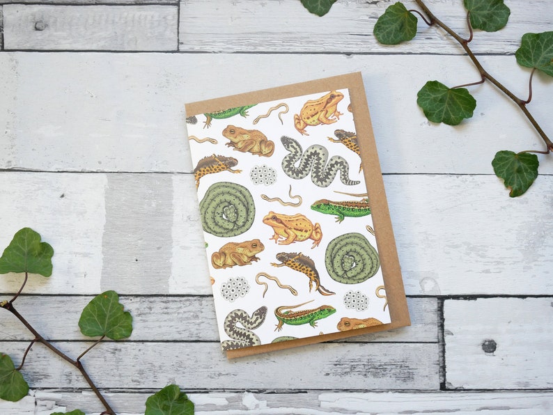 Reptiles & Amphibians Card: Illustrated Wildlife Greetings, Recycled - Etsy