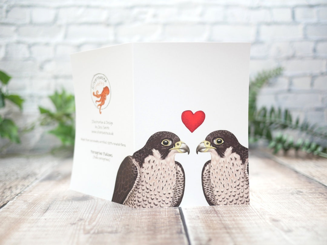 Peregrine Falcons Valentine's Day Card: Recycled Wildlife Greetings - Etsy