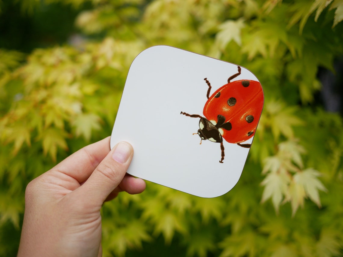 Illustrated Ladybird Coaster - Wildlife Inspired Homeware Gift With Eco ...