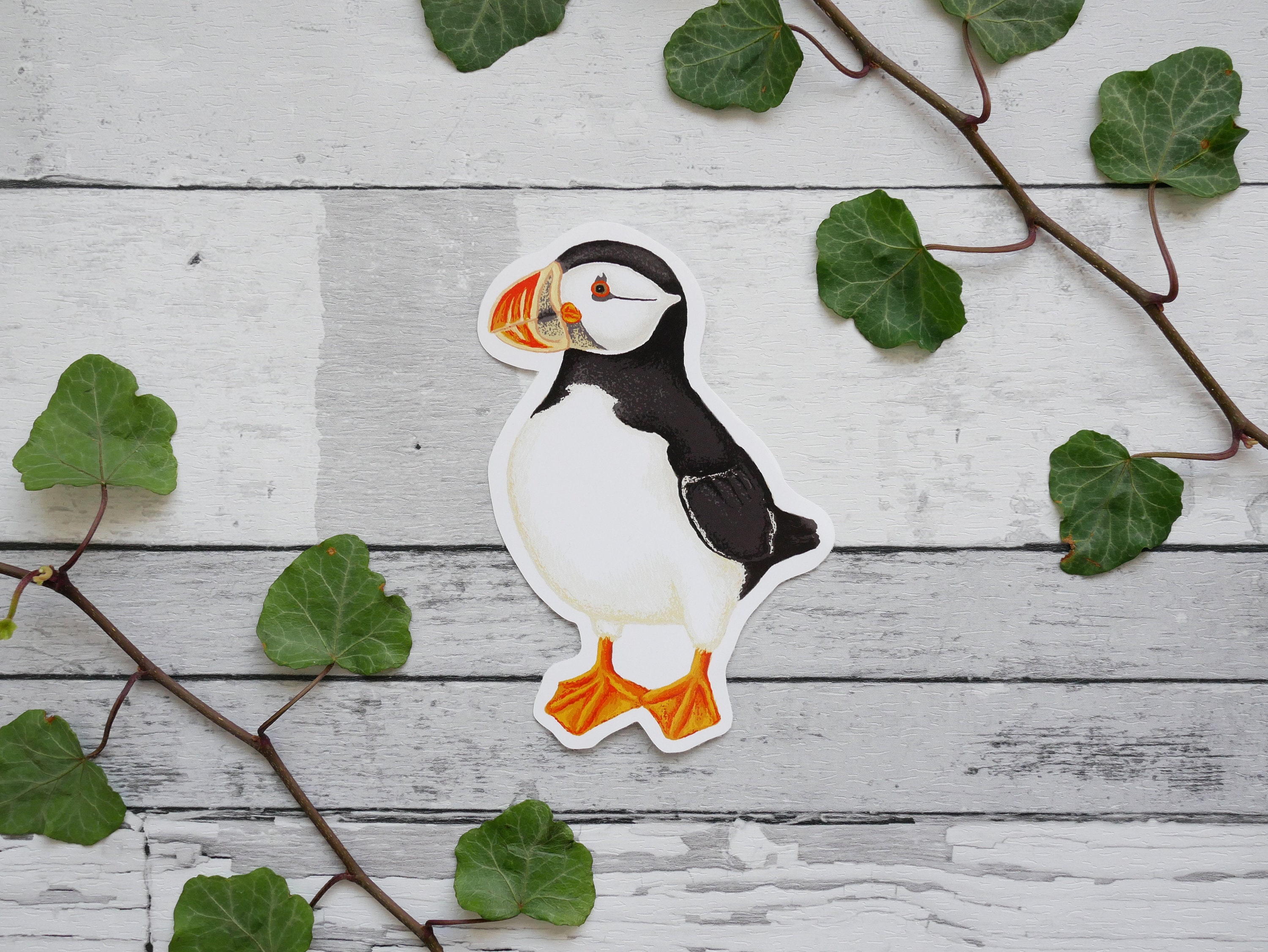 Bumper Stickers Paper & Party Supplies Puffin Eco Sticker Stickers ...