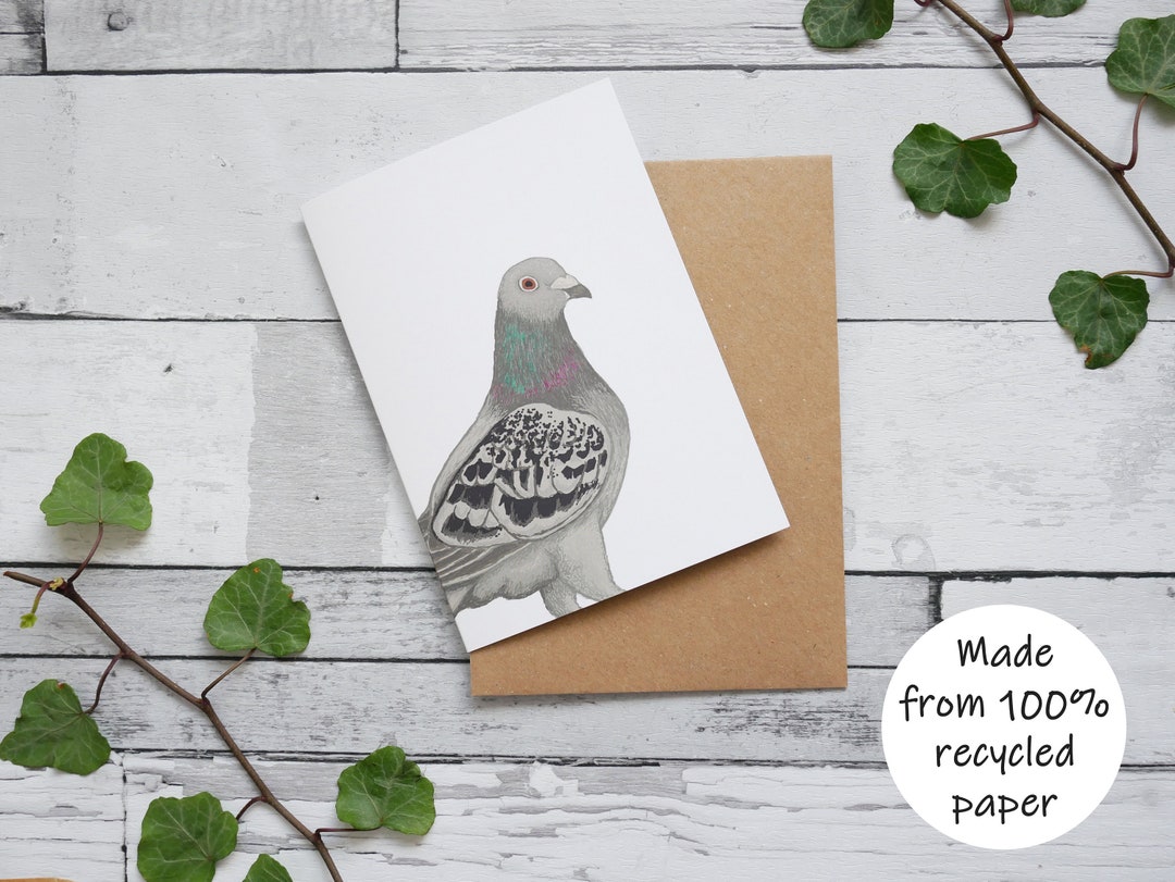 Illustrated Pigeon Greetings Card: Recycled Blank Card - Etsy