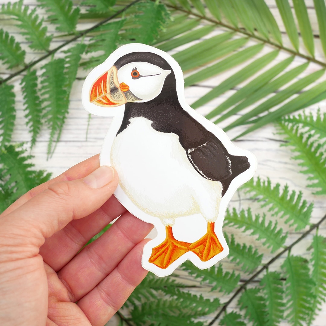 Puffin Vinyl Sticker Waterproof Animal Wildlife Inspired - Etsy Ireland